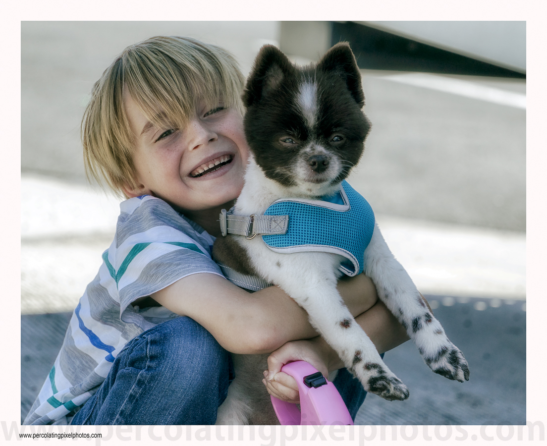 A Boy and His Dog – Percolating Pixels Photography